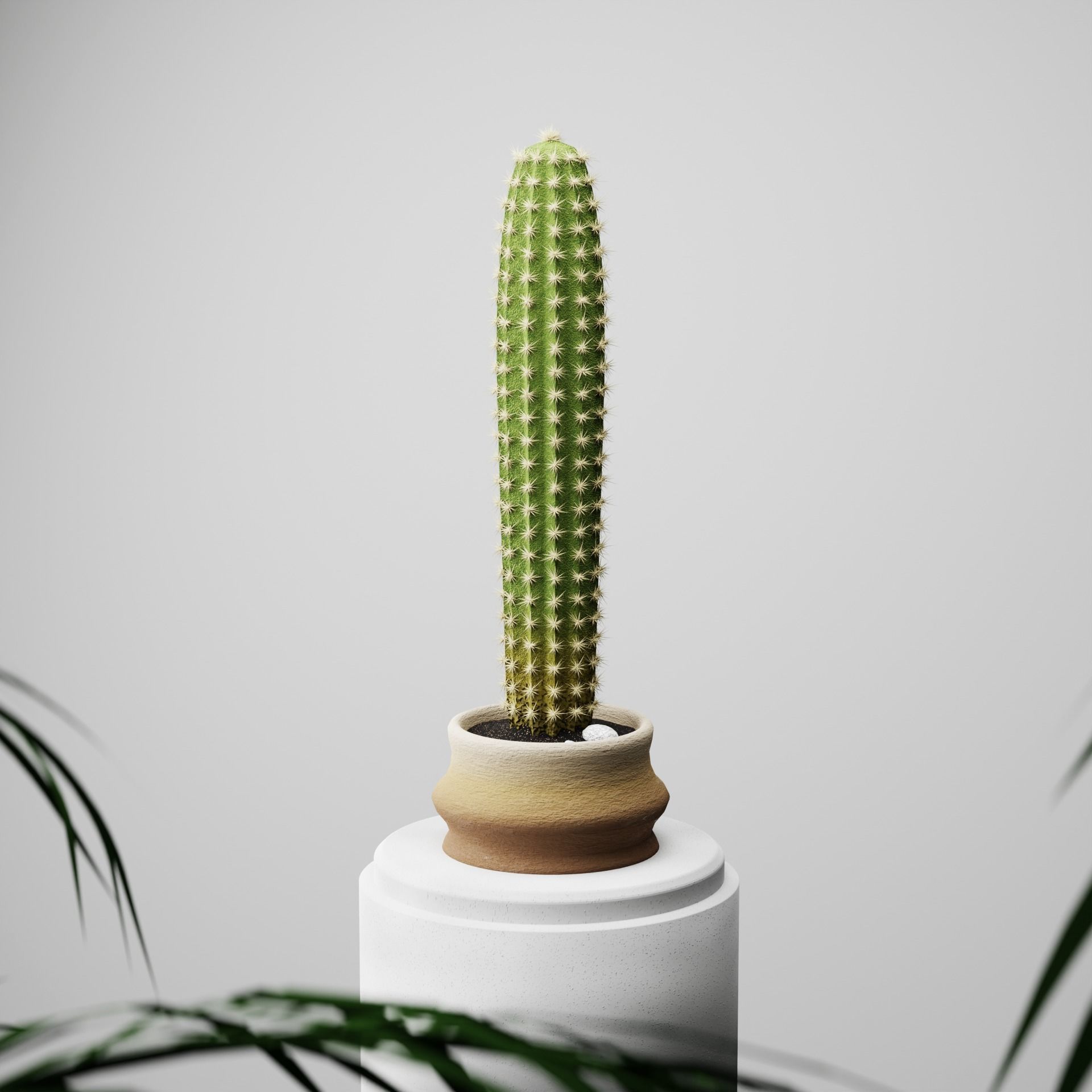Realistic Cactus with pot ground and little stones included free 3D ...