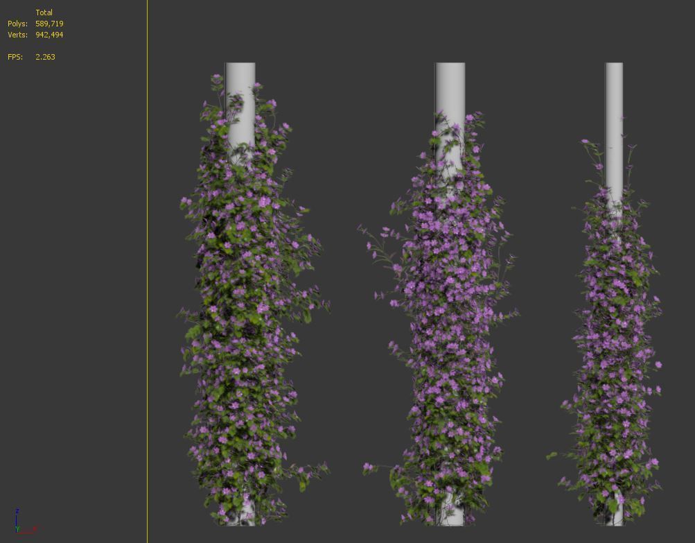 Flowering vine plant 3D model | CGTrader