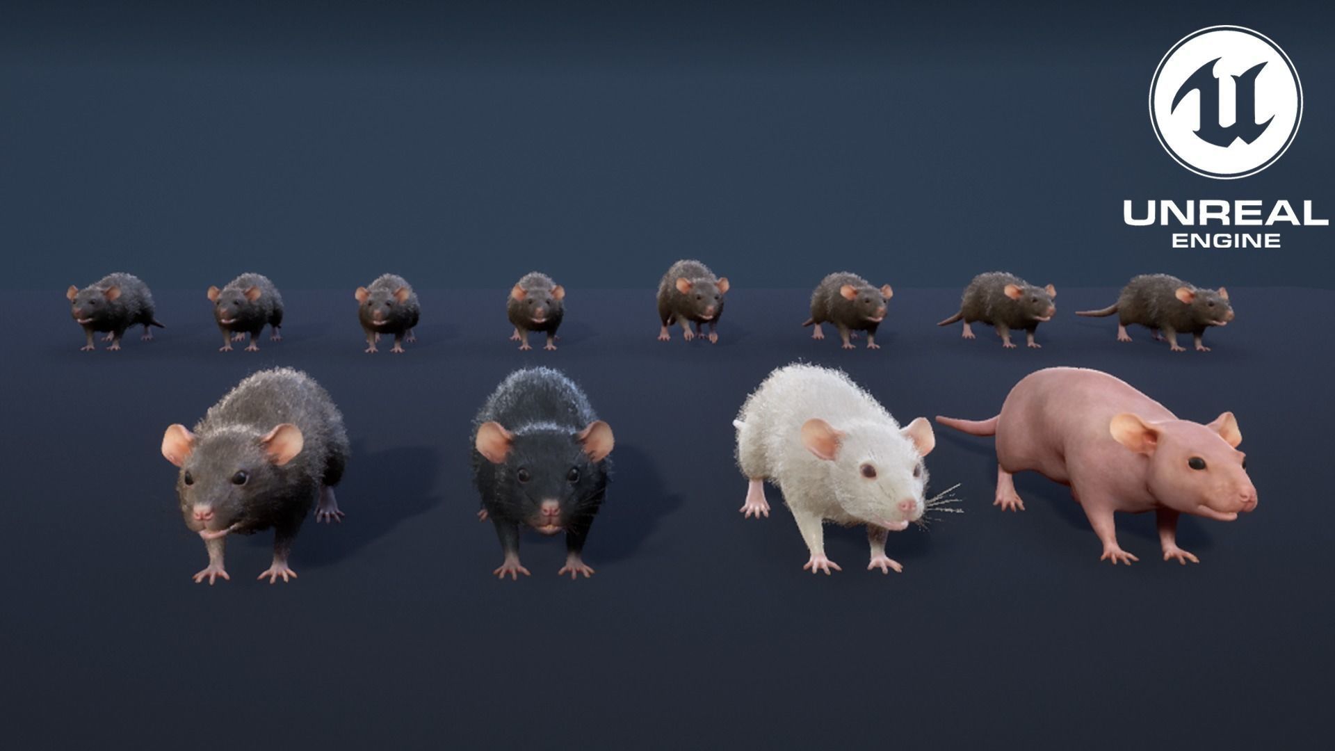 3D model Mouse VR / AR / low-poly rigged animated | CGTrader