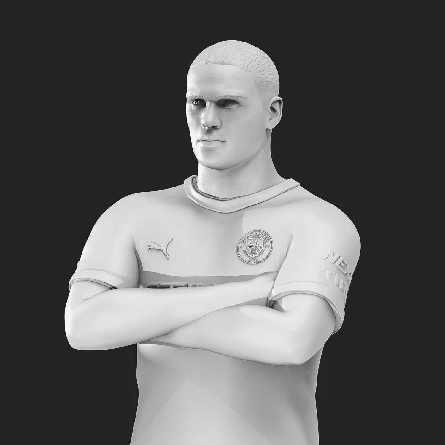 Erling Haaland 3D Printable 3D model 3D printable | CGTrader