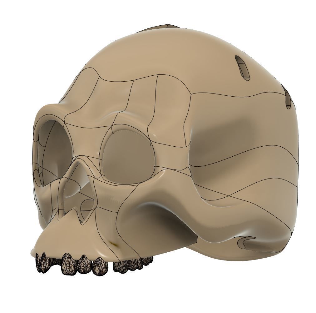 Halloween Talking Skull Disneyland Pirates of the Caribbean Ride 3D ...