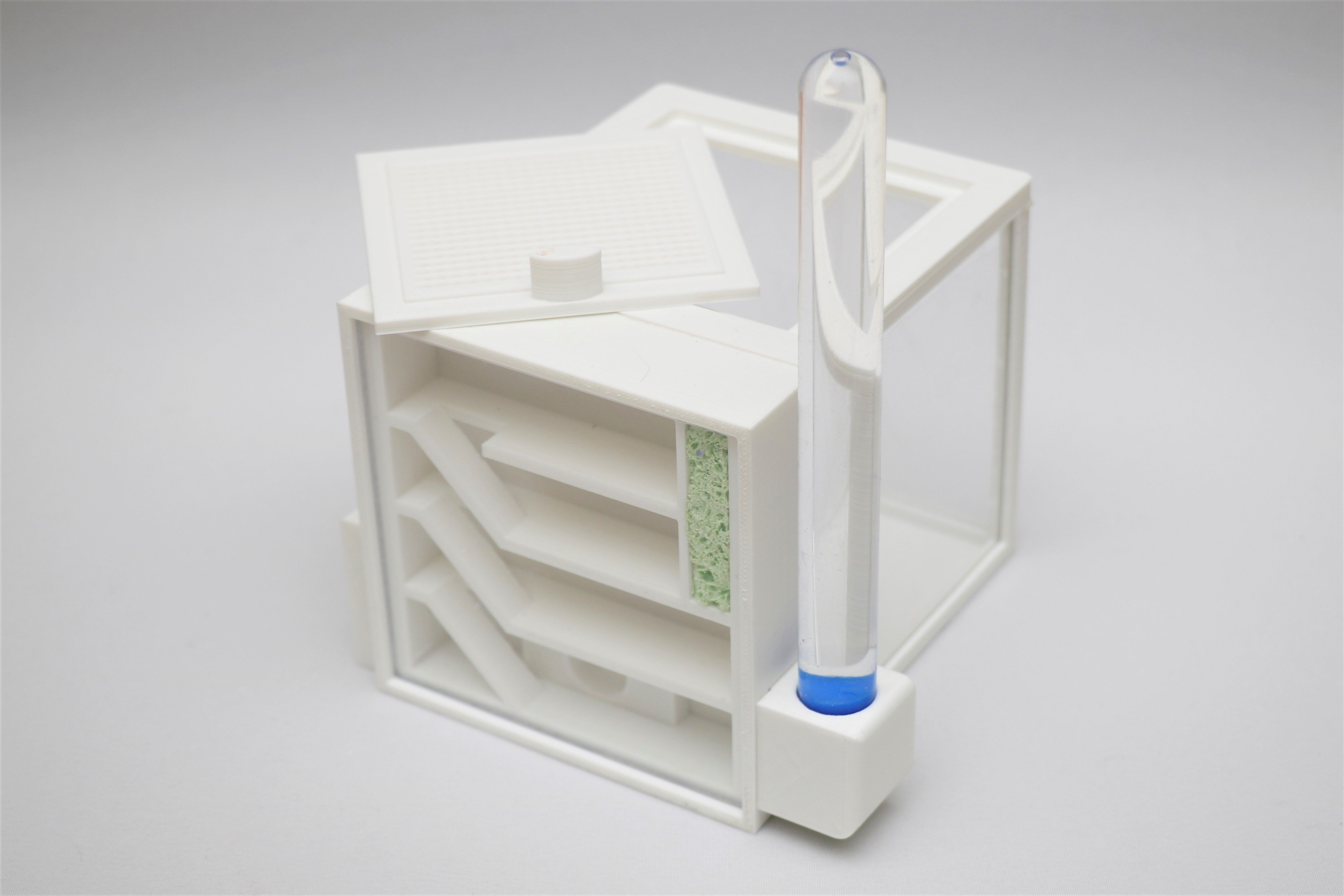 ANT FARM FORMICARIUM VERTICAL V1 3D model 3D printable | CGTrader