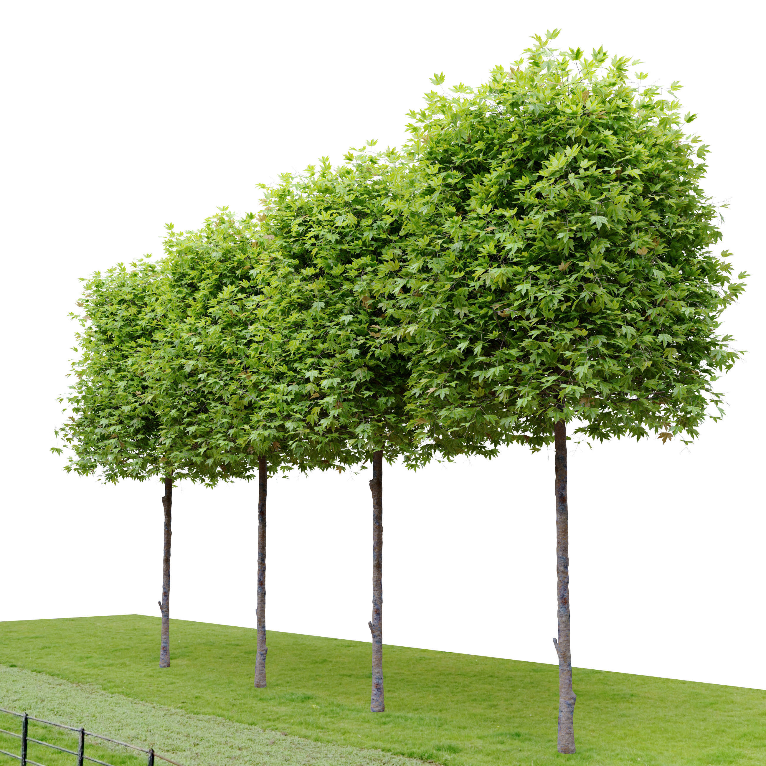 Boxhead trees set 3D model | CGTrader