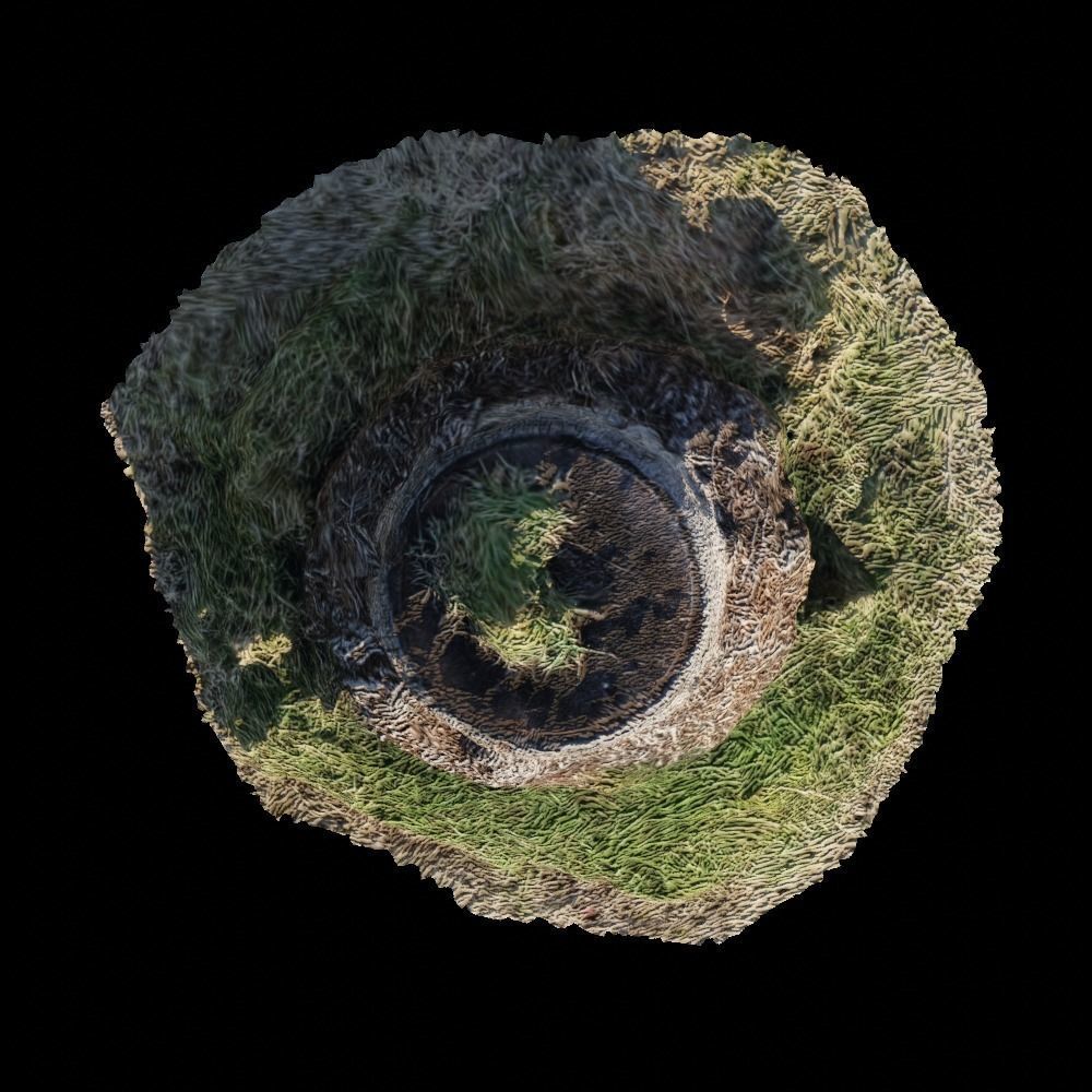 Low-Poly Scanned Tree stump 3D model 3D model | CGTrader