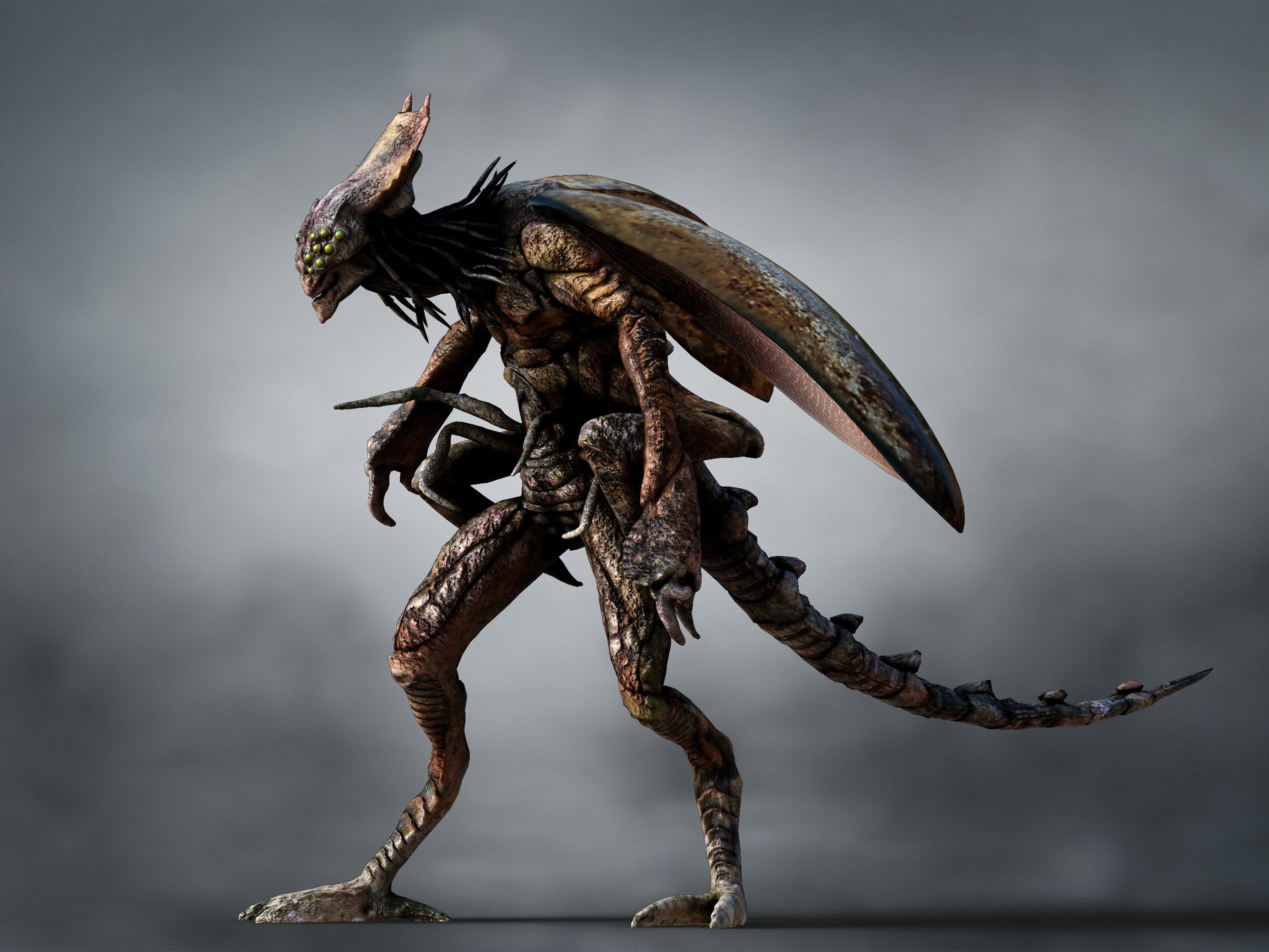 3D model insectoid monster VR / AR / low-poly rigged | CGTrader