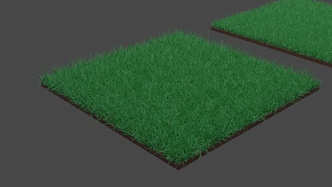 Grass PACK - 4 grass heights free 3D model | CGTrader