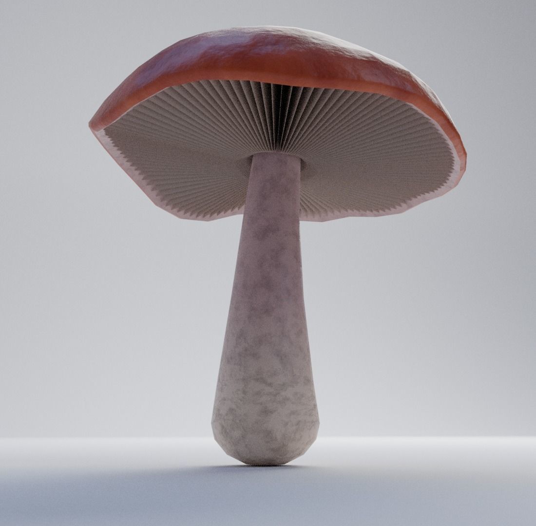 Mushroom 3D model | CGTrader