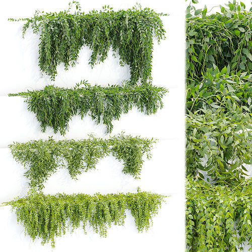 Hanging wall plants collection vol 109 3D model | CGTrader