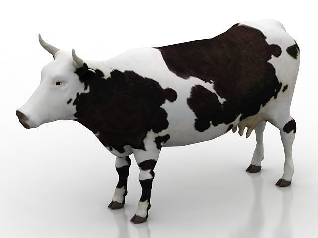 cow model 3D model | CGTrader