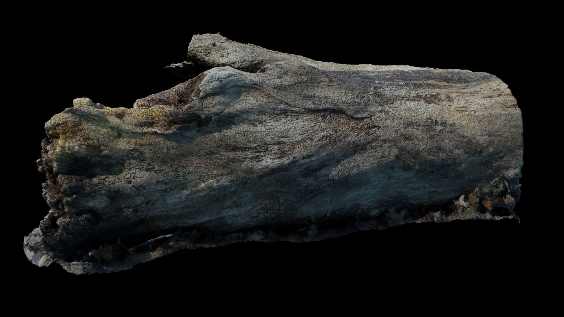 Fallen Rotting Log 3D model | CGTrader