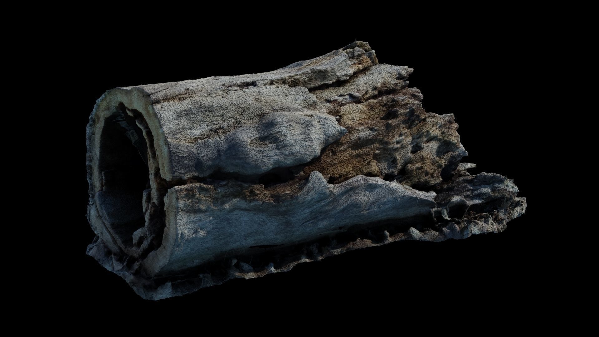 Fallen Rotting Log 3D model | CGTrader