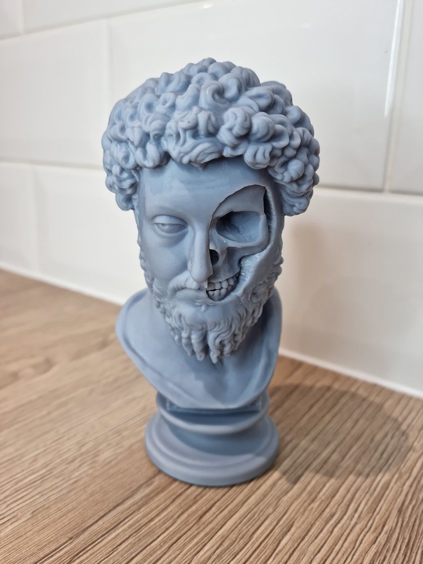 Marcus Aurelius Momento Mori Bust 3D model 3D printable | CGTrader
