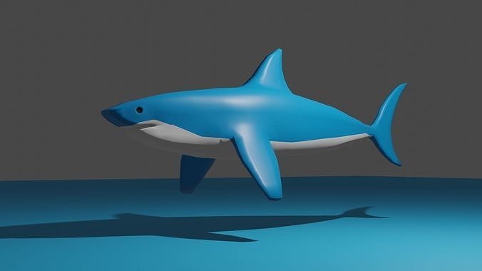 Shark low poly 3D model | CGTrader