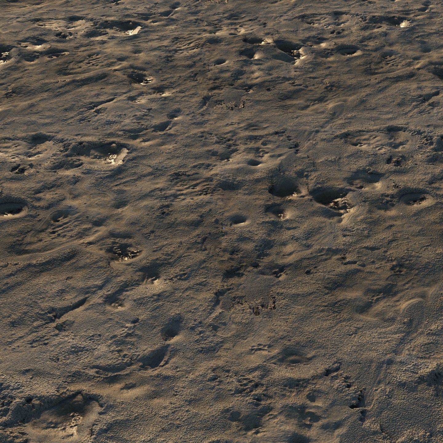 Wet Mud Material 01 3D model | CGTrader