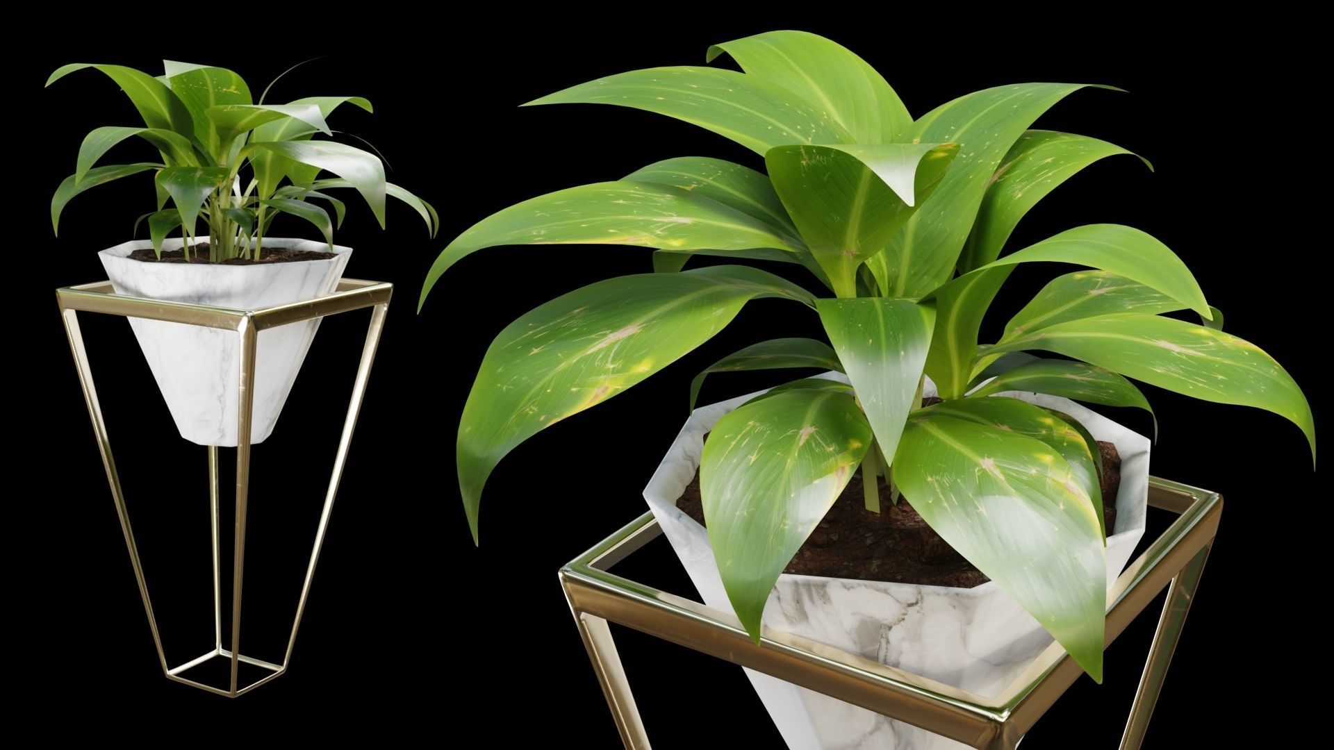 3D model Modern Pots Pack VR / AR / low-poly | CGTrader