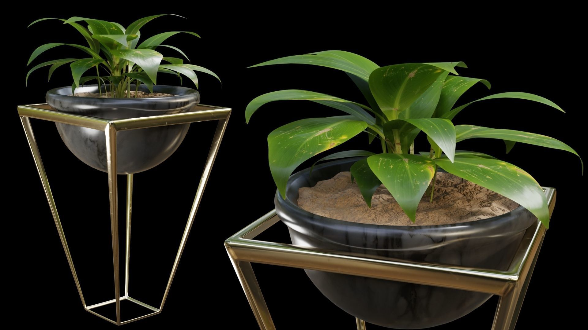 3D model Modern Pots Pack VR / AR / low-poly | CGTrader