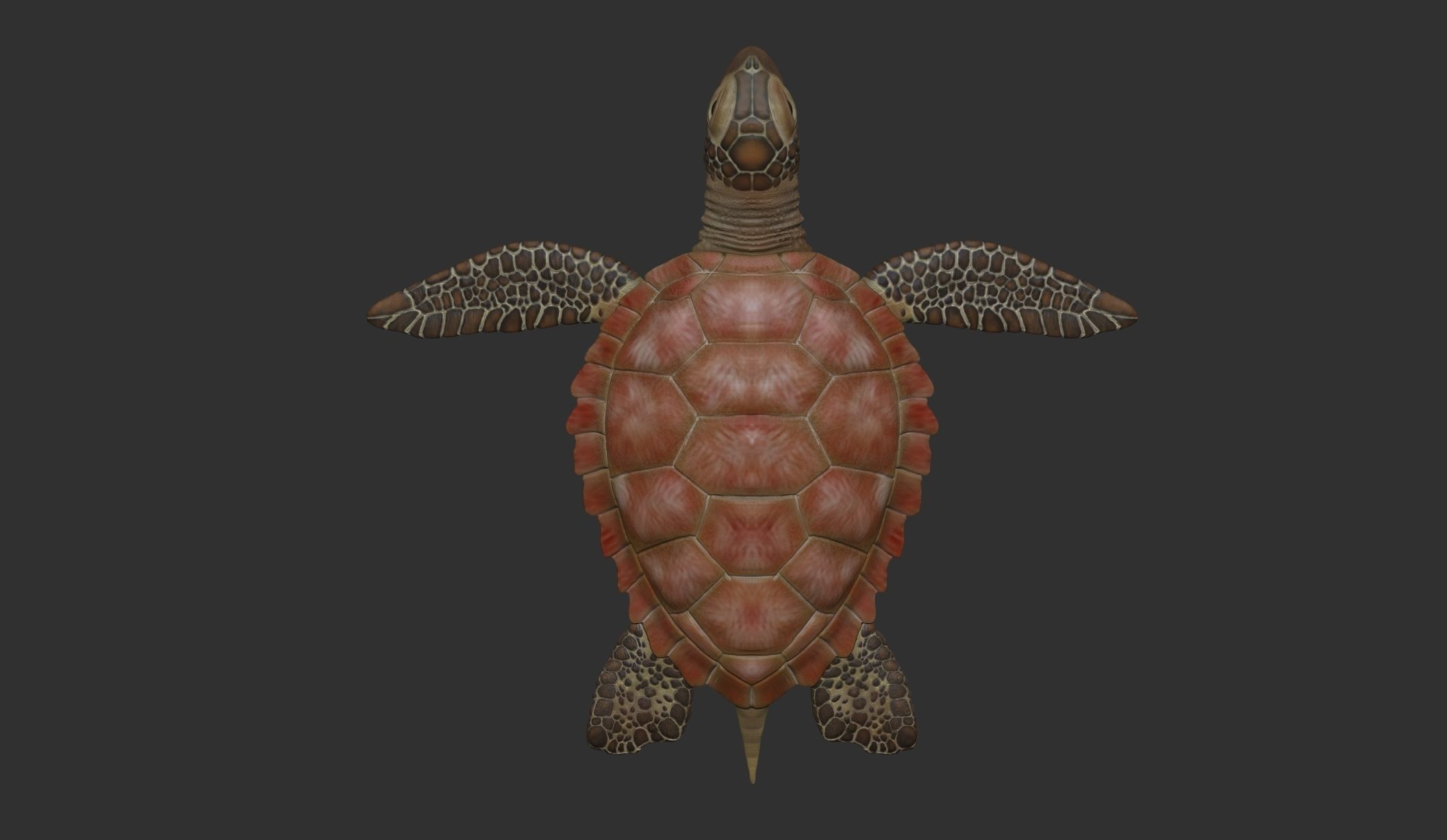 Green Sea Turtle 3DPrintable 3D model 3D printable | CGTrader