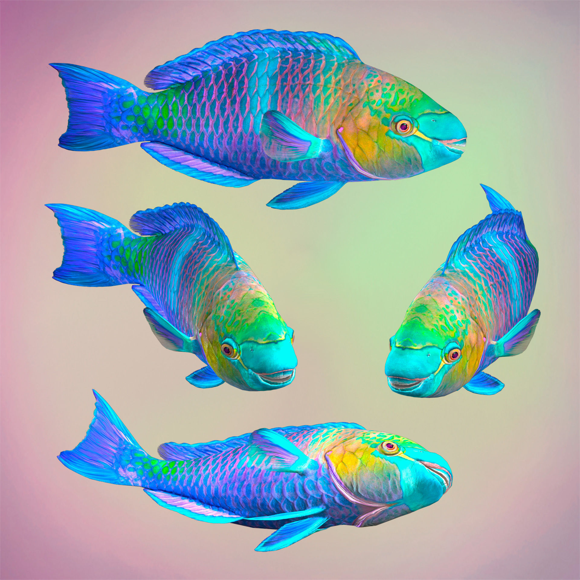 3D model Fish Parrotfish VR / AR / low-poly | CGTrader
