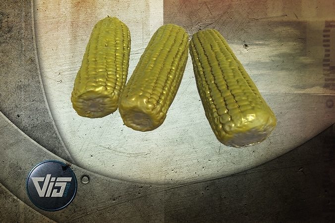 3D model Scanned Corn VR / AR / low-poly | CGTrader
