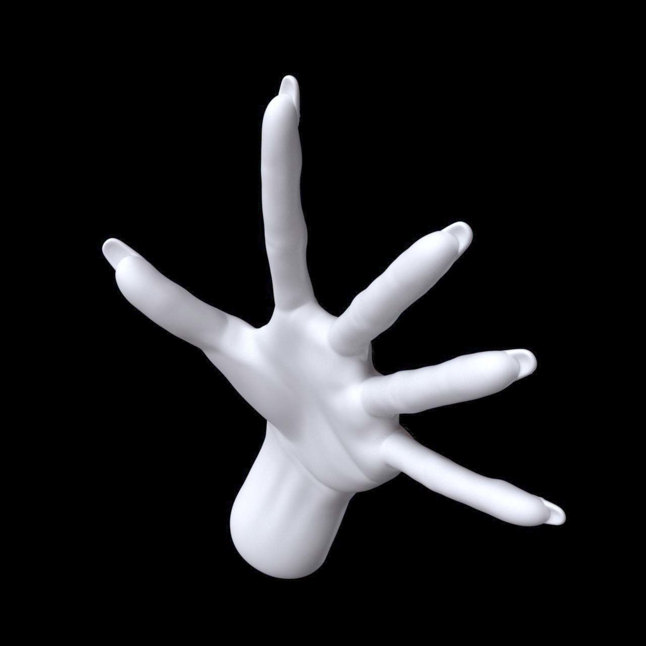 Female slim hand 3D model | CGTrader