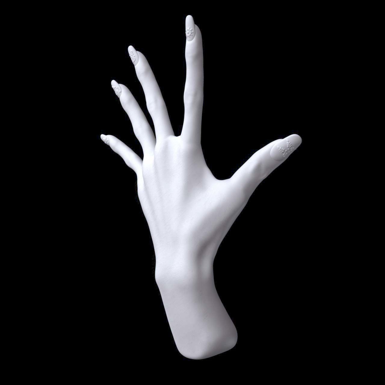 Female slim hand 3D model | CGTrader