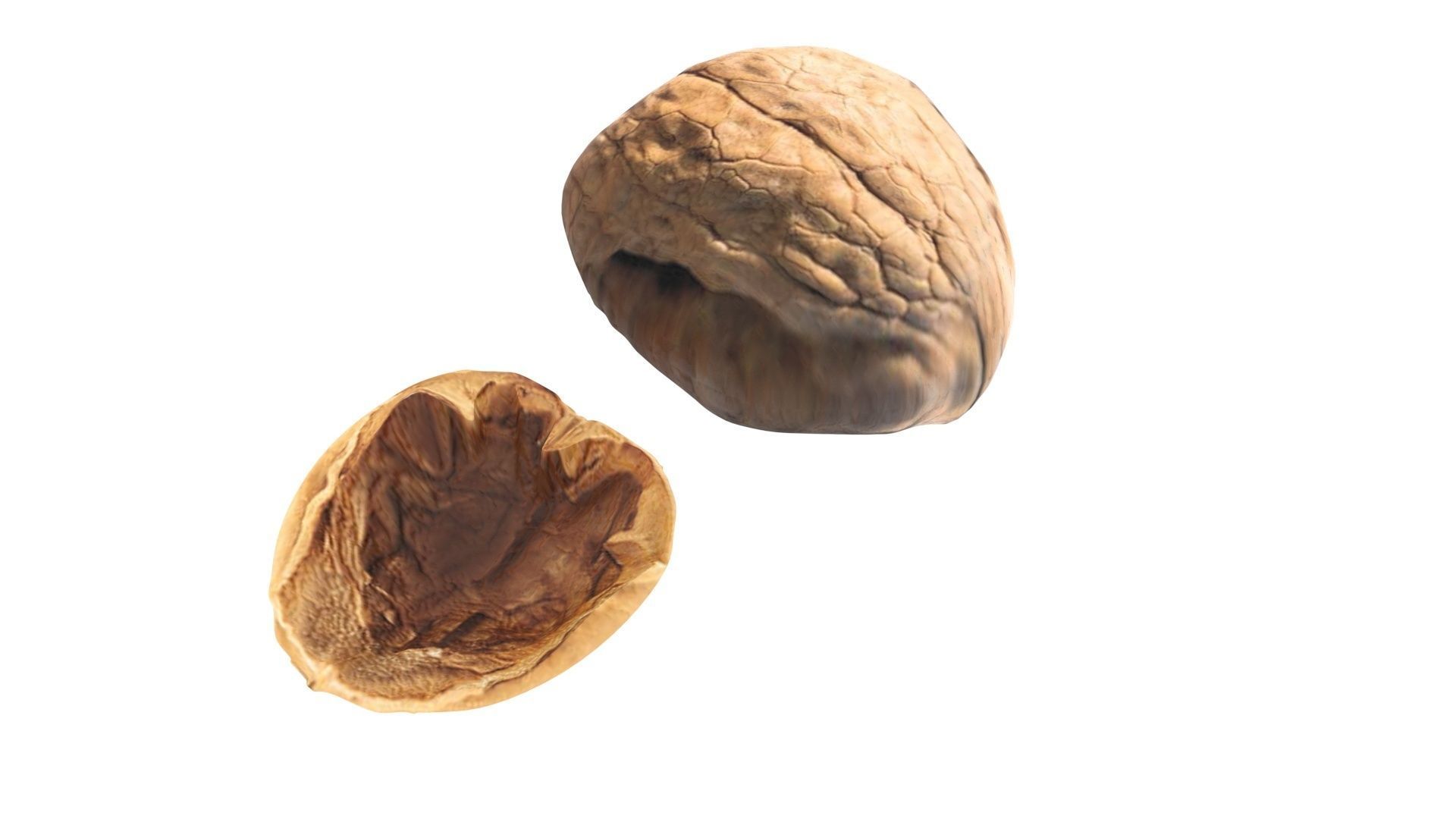 Walnut 3D model | CGTrader