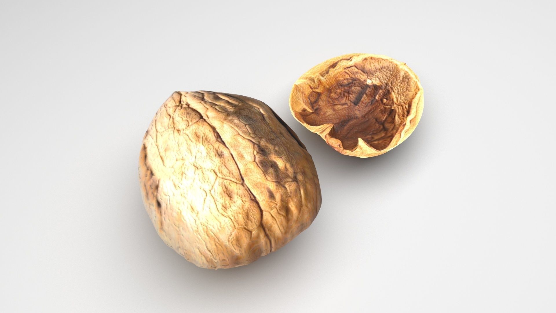 Walnut 3D model | CGTrader