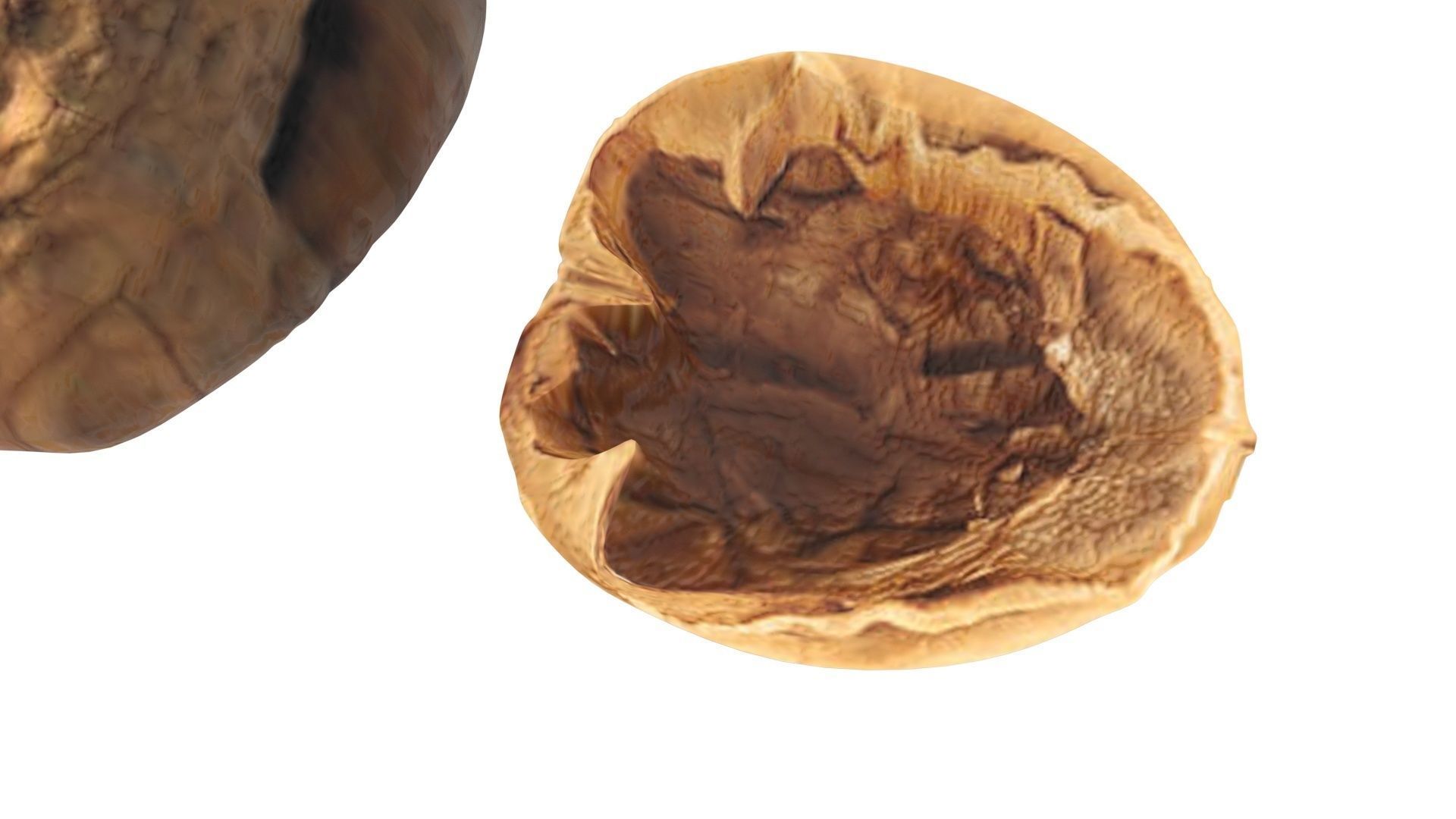 Walnut 3D model | CGTrader