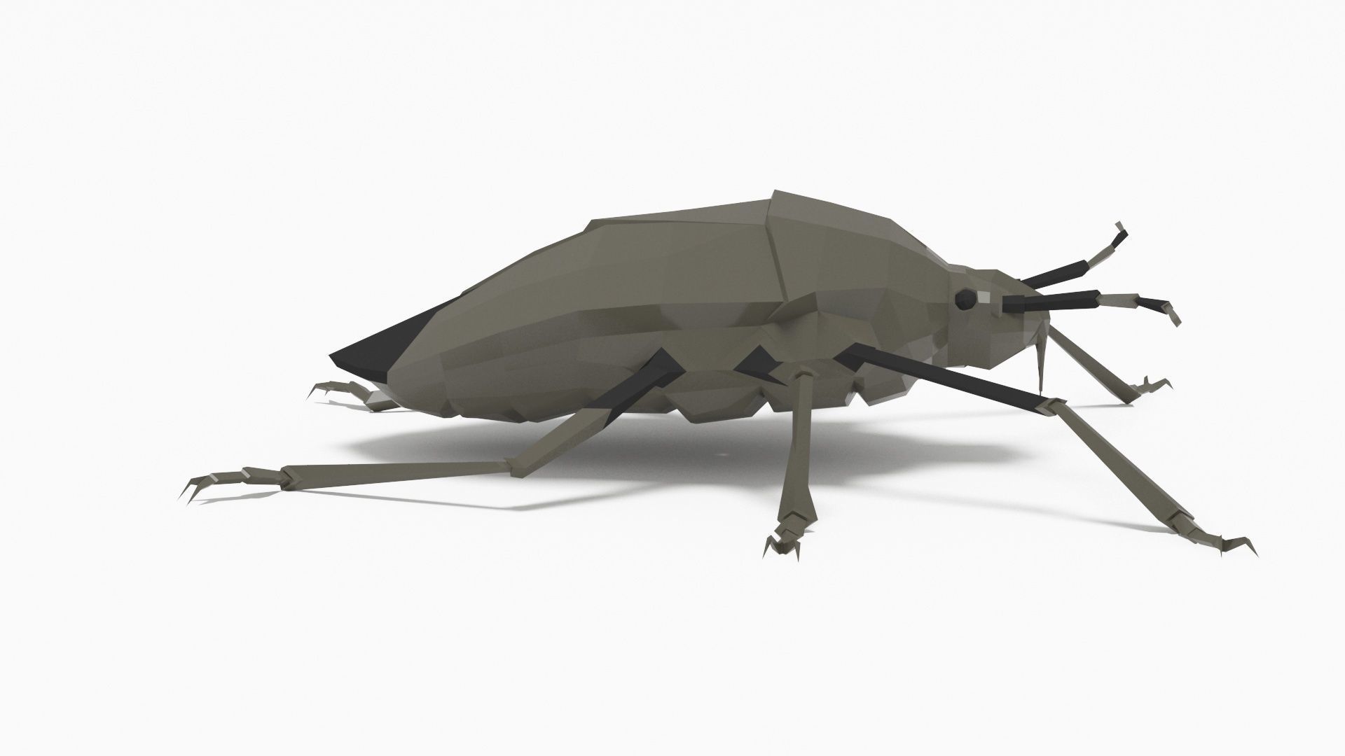 3D model Bug low poly polygonal VR / AR / low-poly | CGTrader