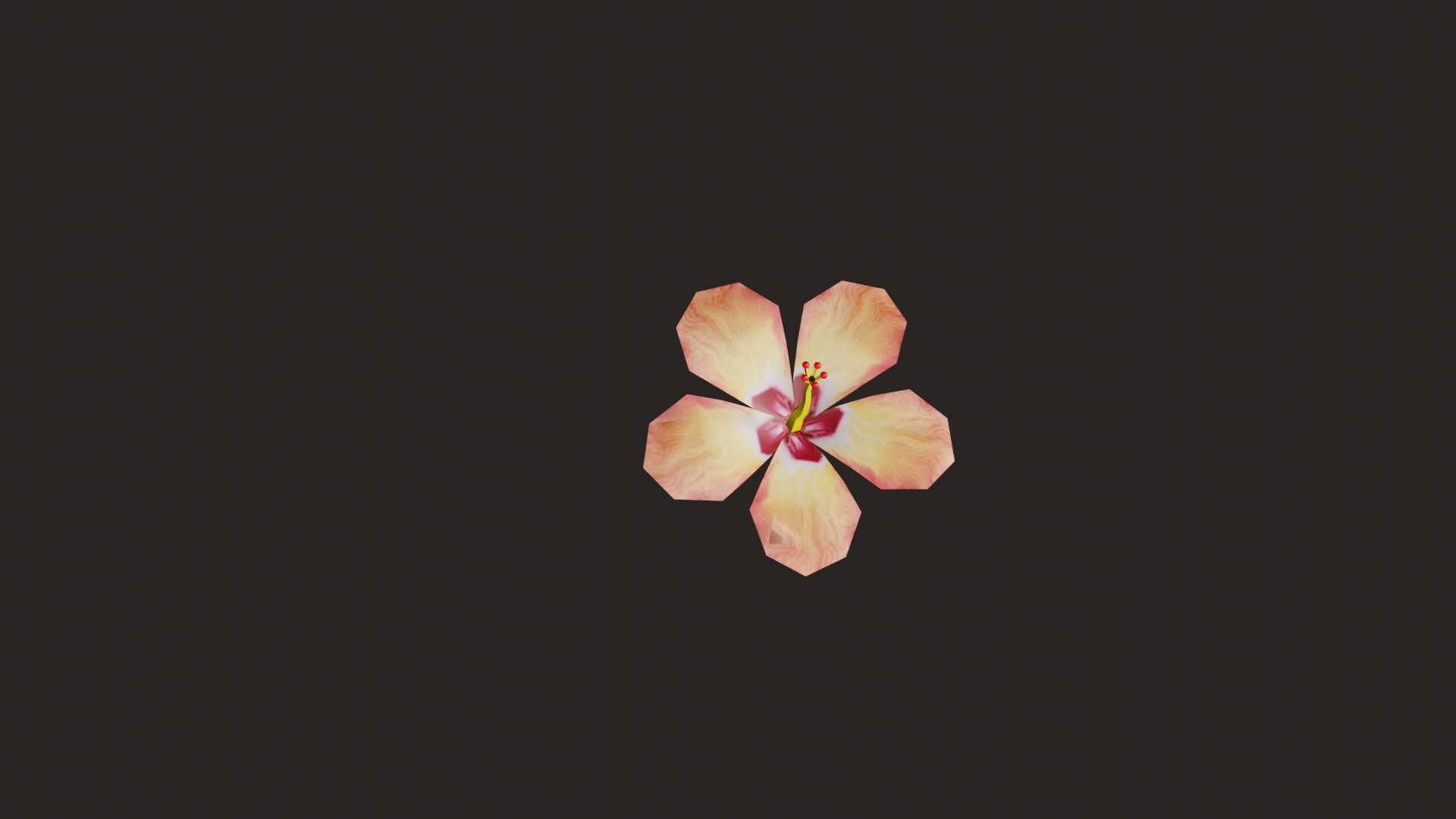 3D model Hibiscus Flower in Blender VR / AR / low-poly | CGTrader