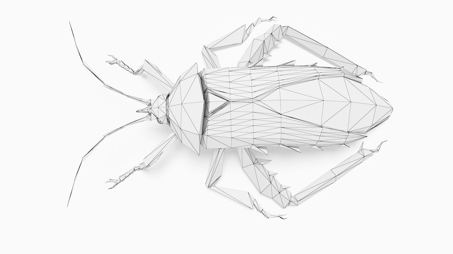 3D model Bug low poly origami VR / AR / low-poly | CGTrader