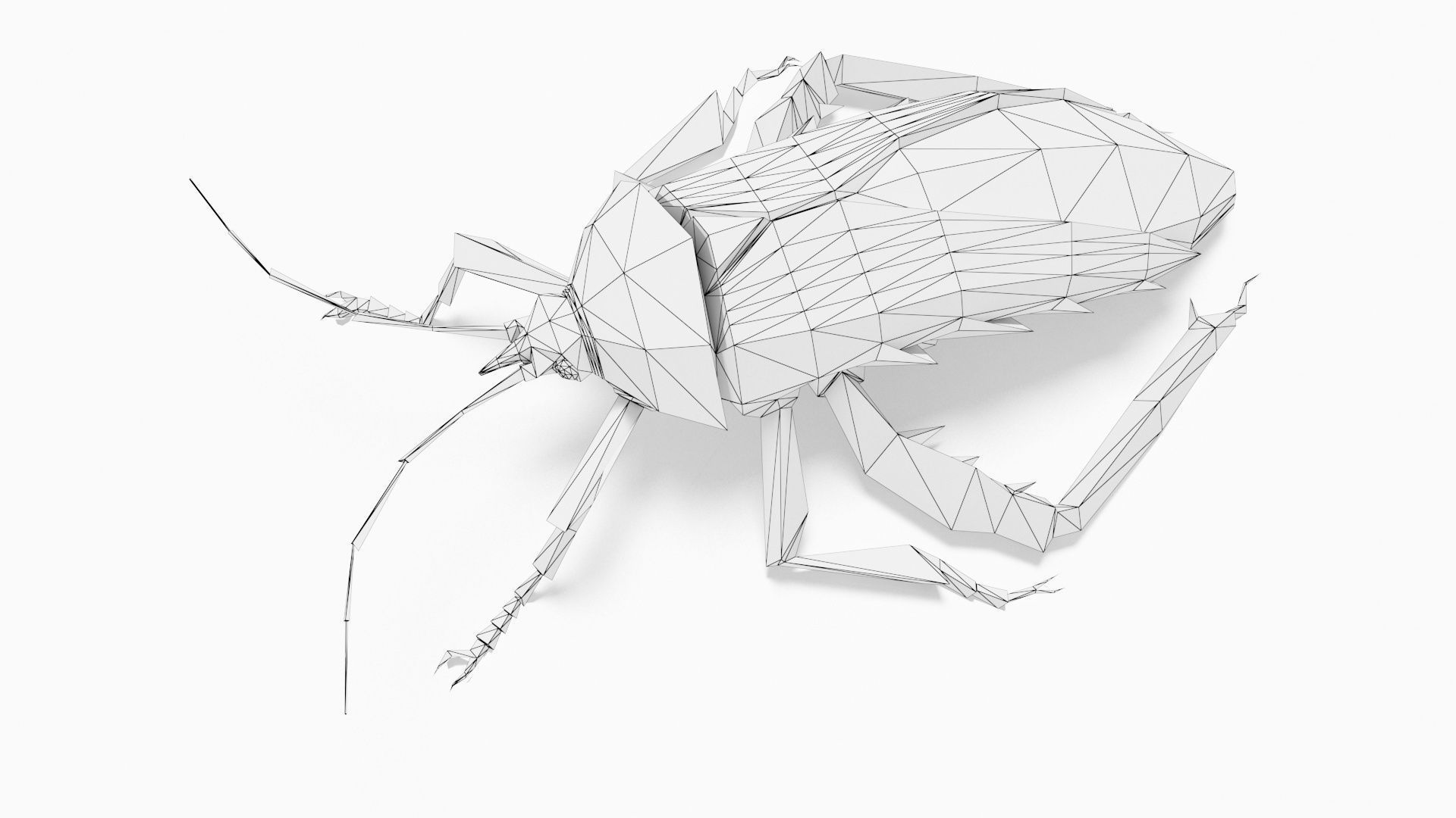 3D model Bug low poly origami VR / AR / low-poly | CGTrader