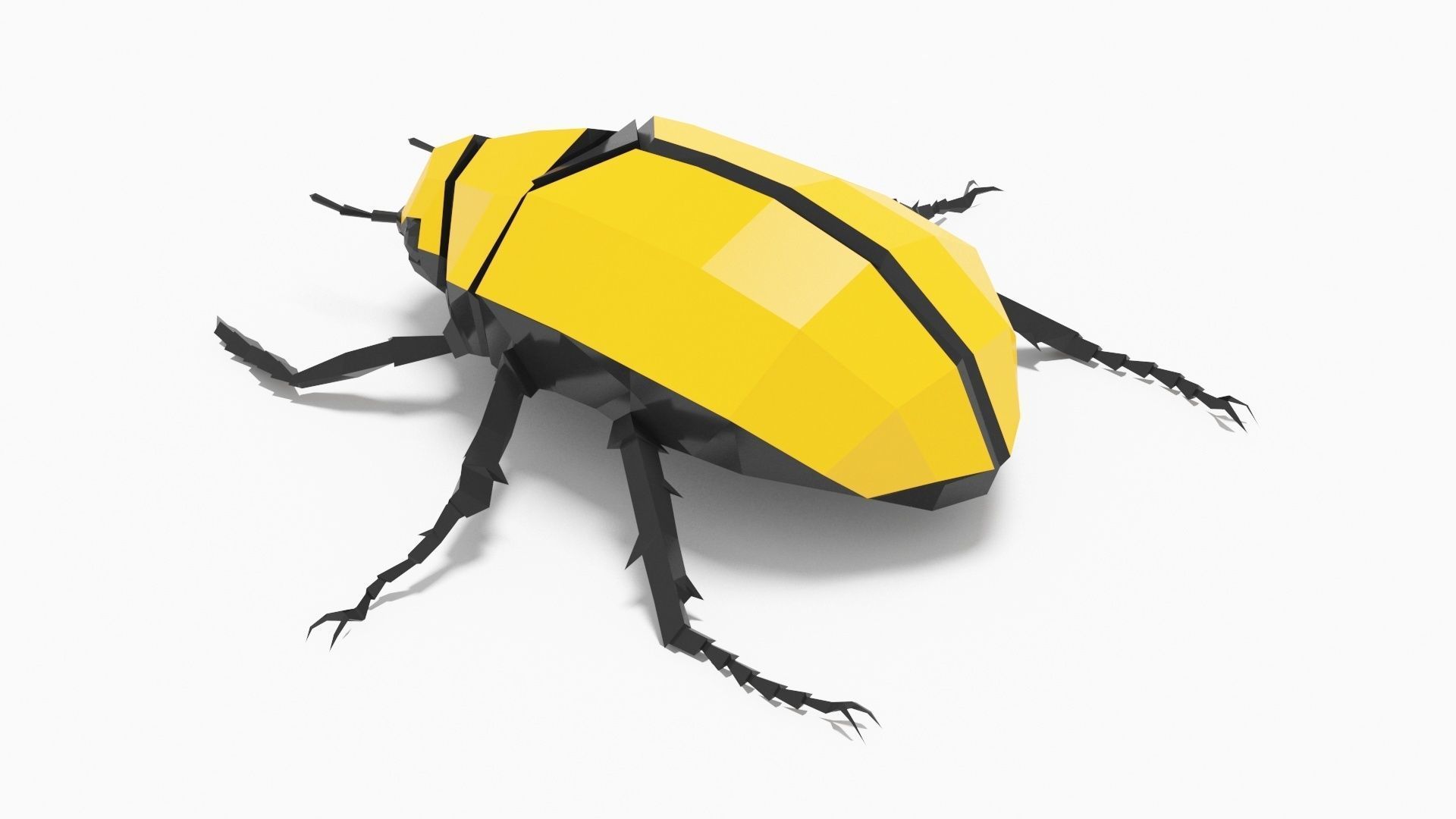 3D model Bug low poly polygonal beetle VR / AR / low-poly | CGTrader