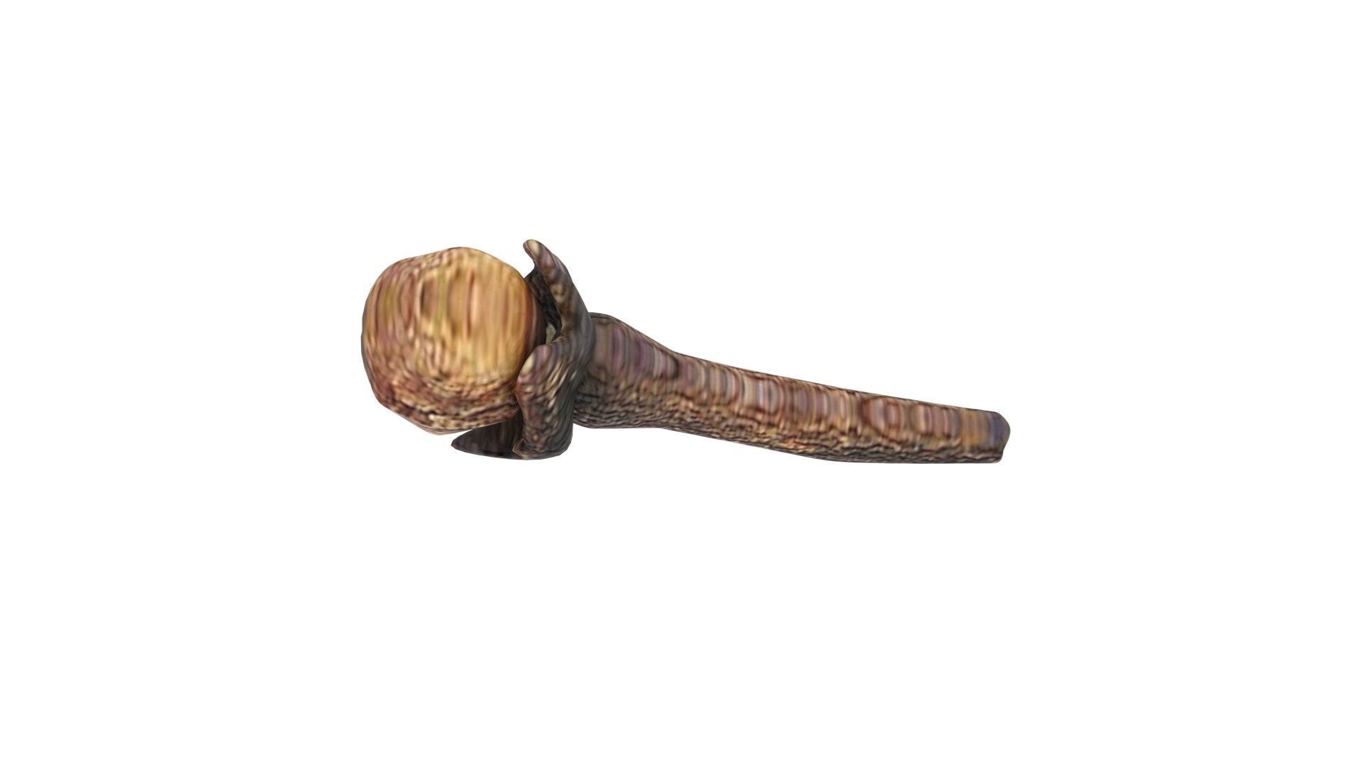 Clove 3D model | CGTrader