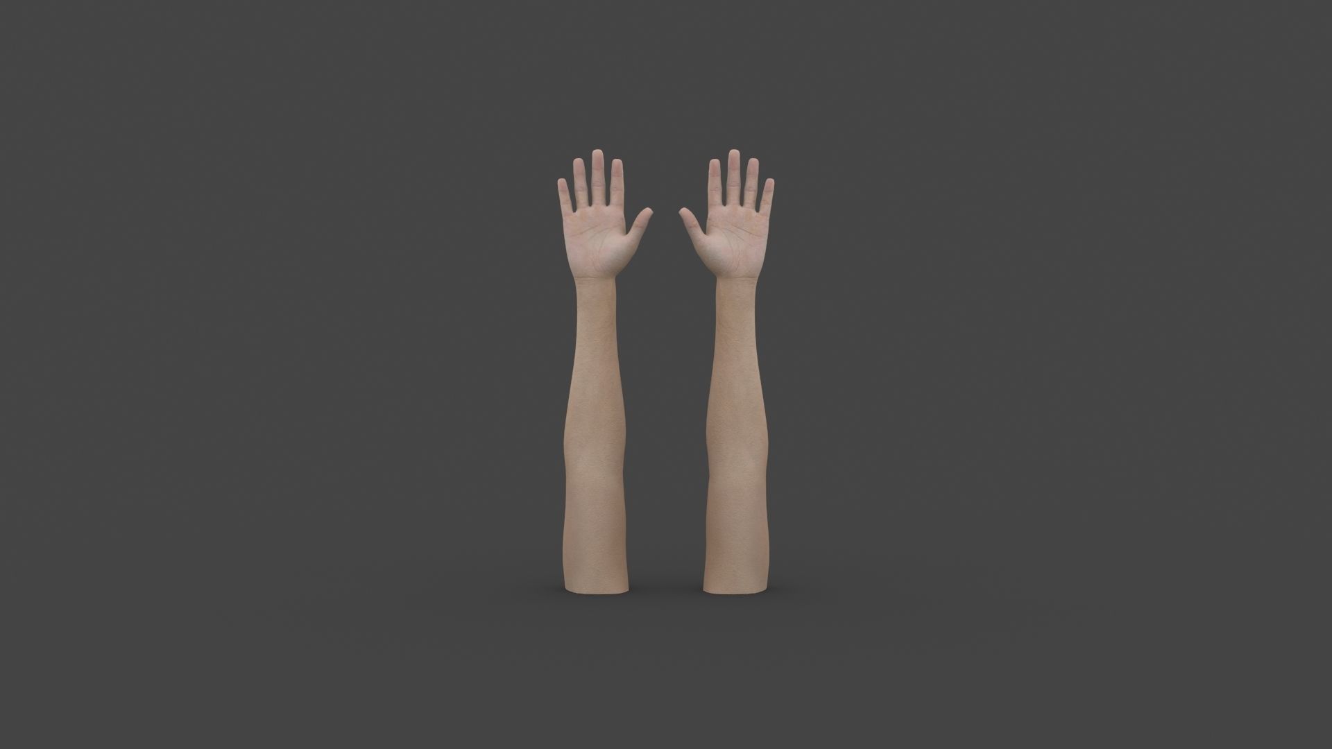 3D model ARMS-003 Rigged Arms VR / AR / low-poly | CGTrader
