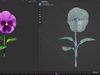 3D model violet flower VR / AR / low-poly | CGTrader