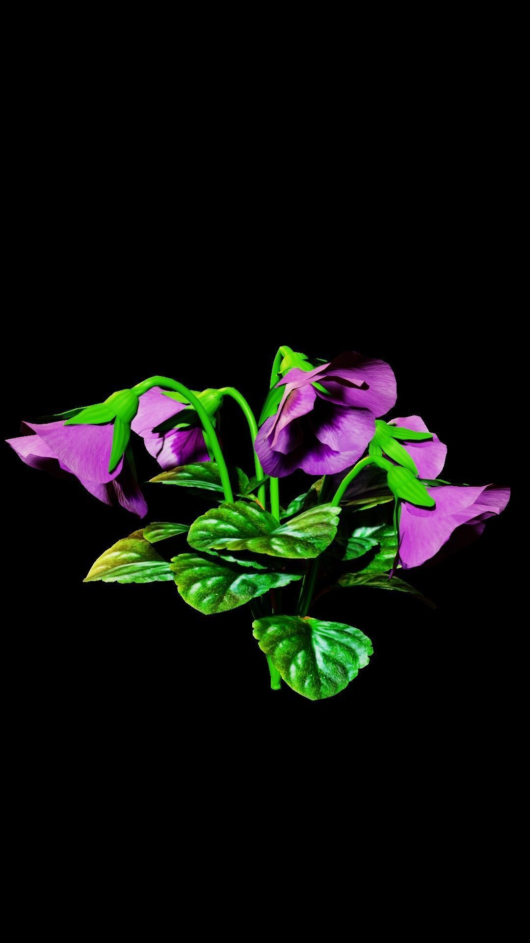 3D model violet flower VR / AR / low-poly | CGTrader