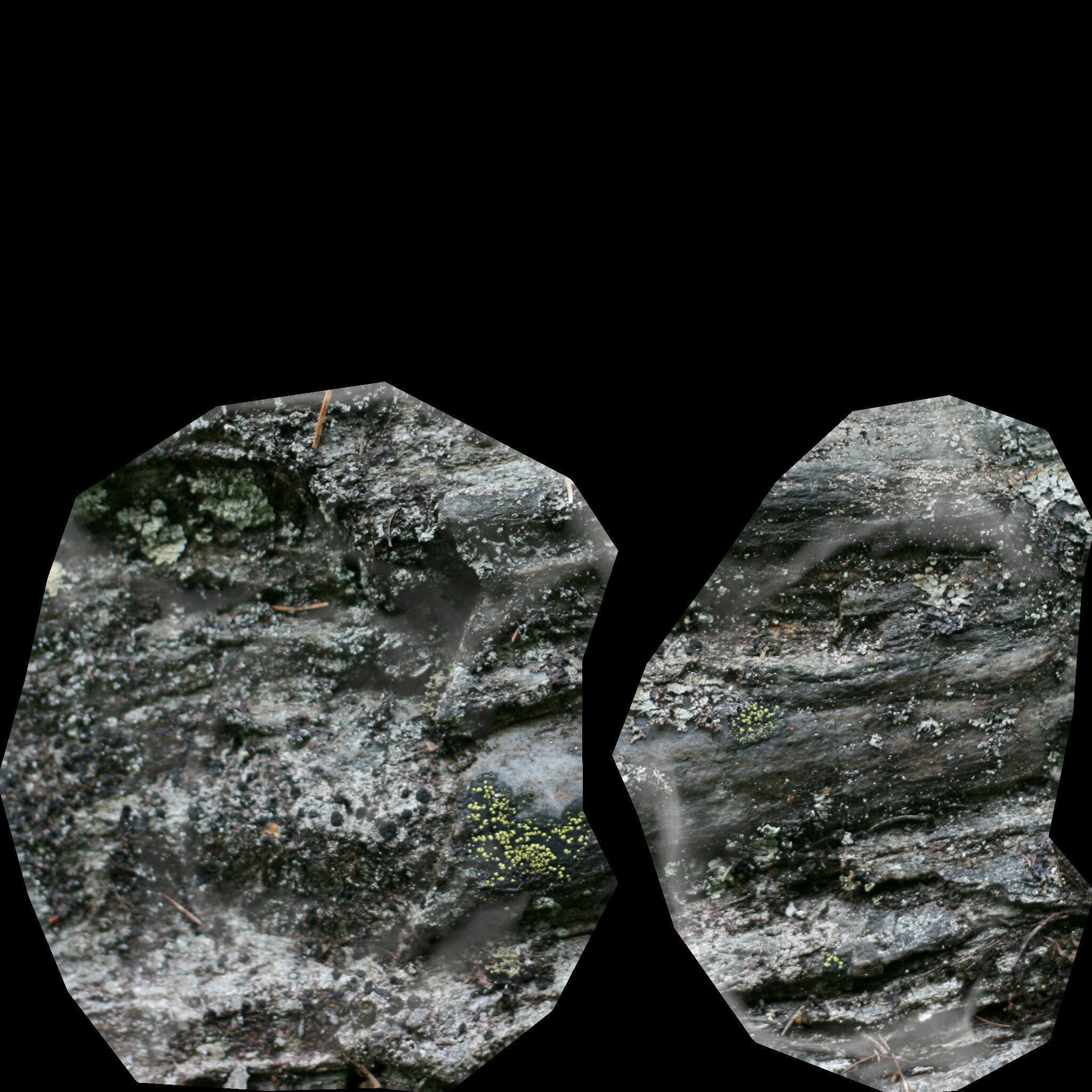 3D model 3 rock types VR / AR / low-poly | CGTrader