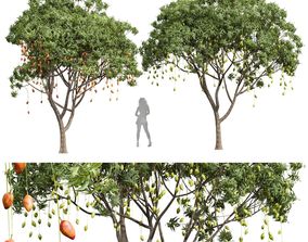 Mango tree 3D Models | CGTrader
