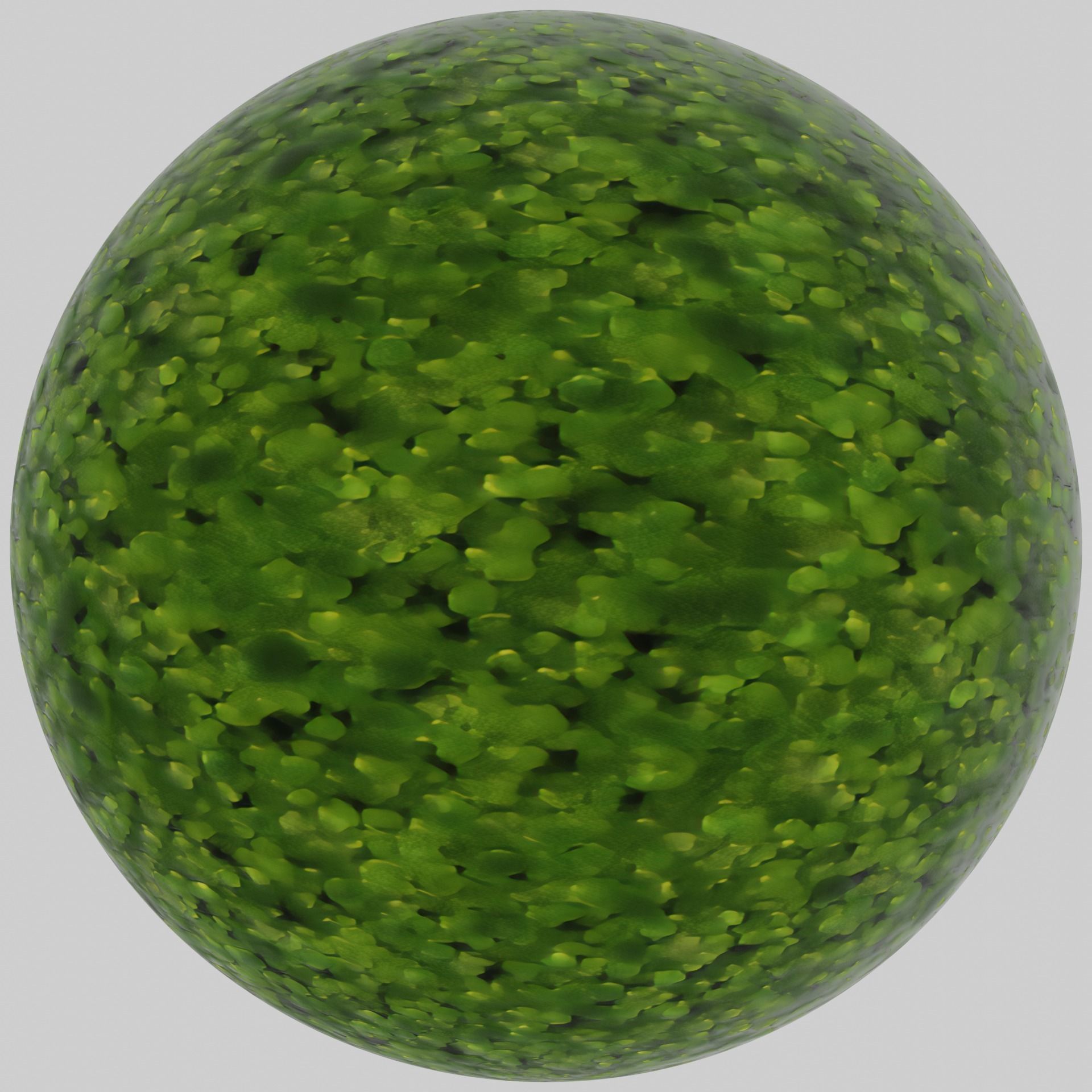 Texture Duckweed - 4K PBR material VR / AR / low-poly | CGTrader