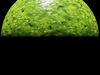Texture Duckweed - 4K PBR material VR / AR / low-poly | CGTrader