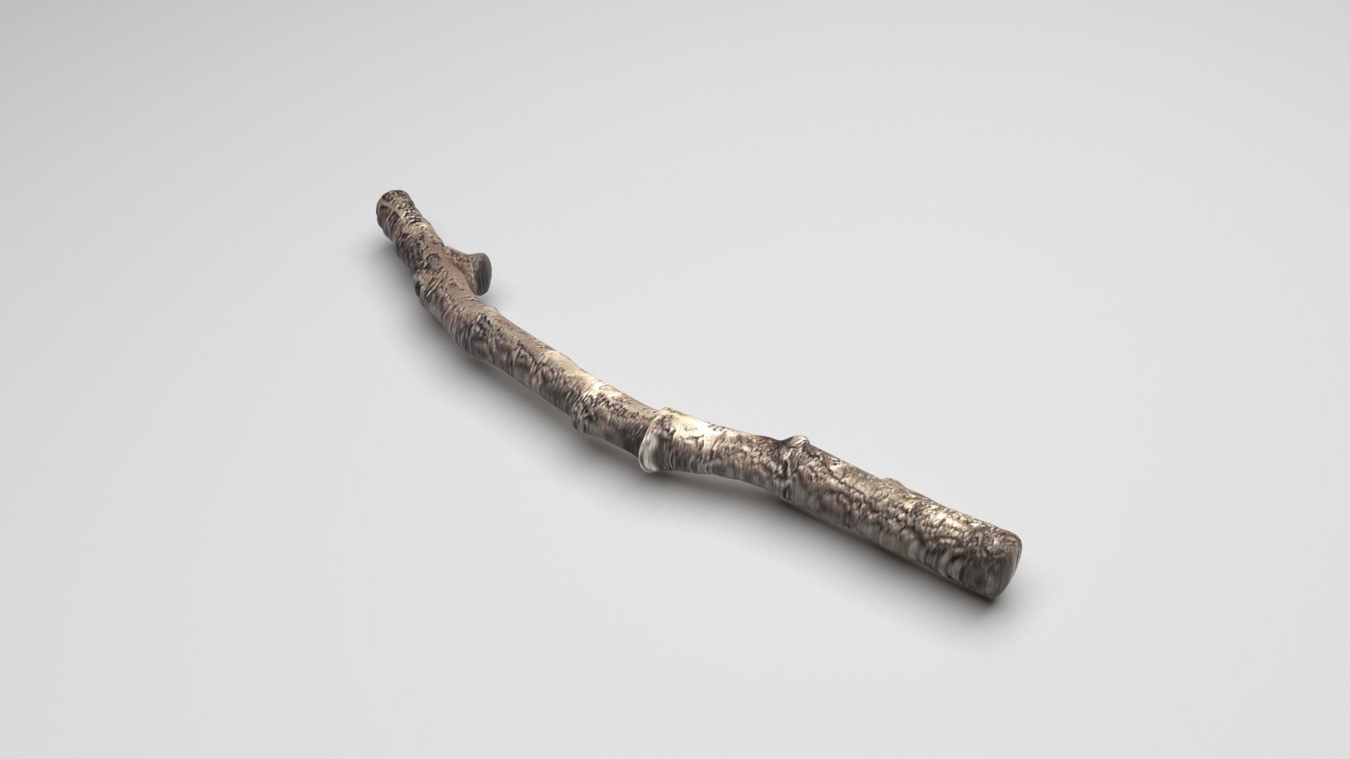 Tree Branch 3D model | CGTrader