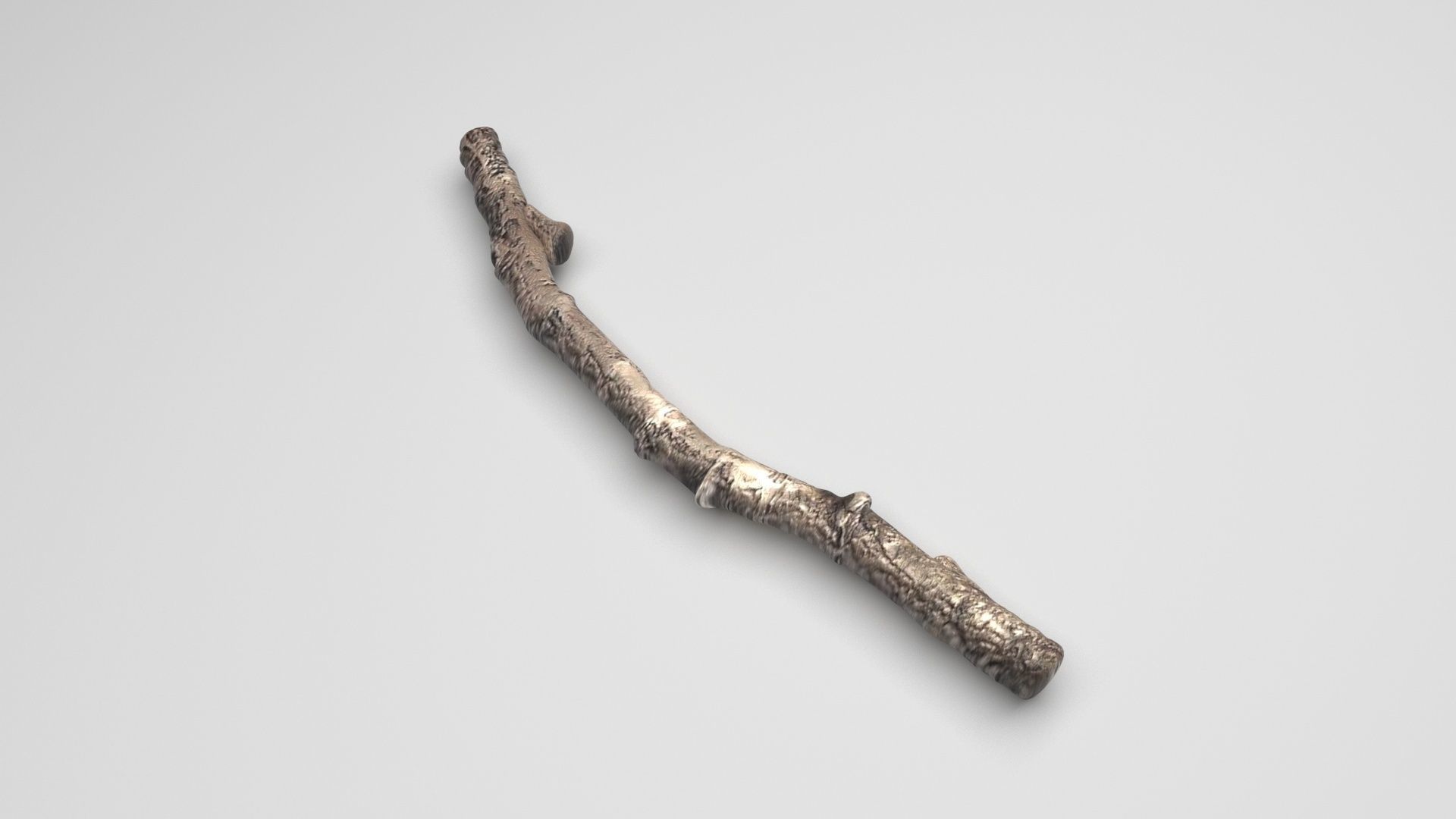 Tree Branch 3D model | CGTrader