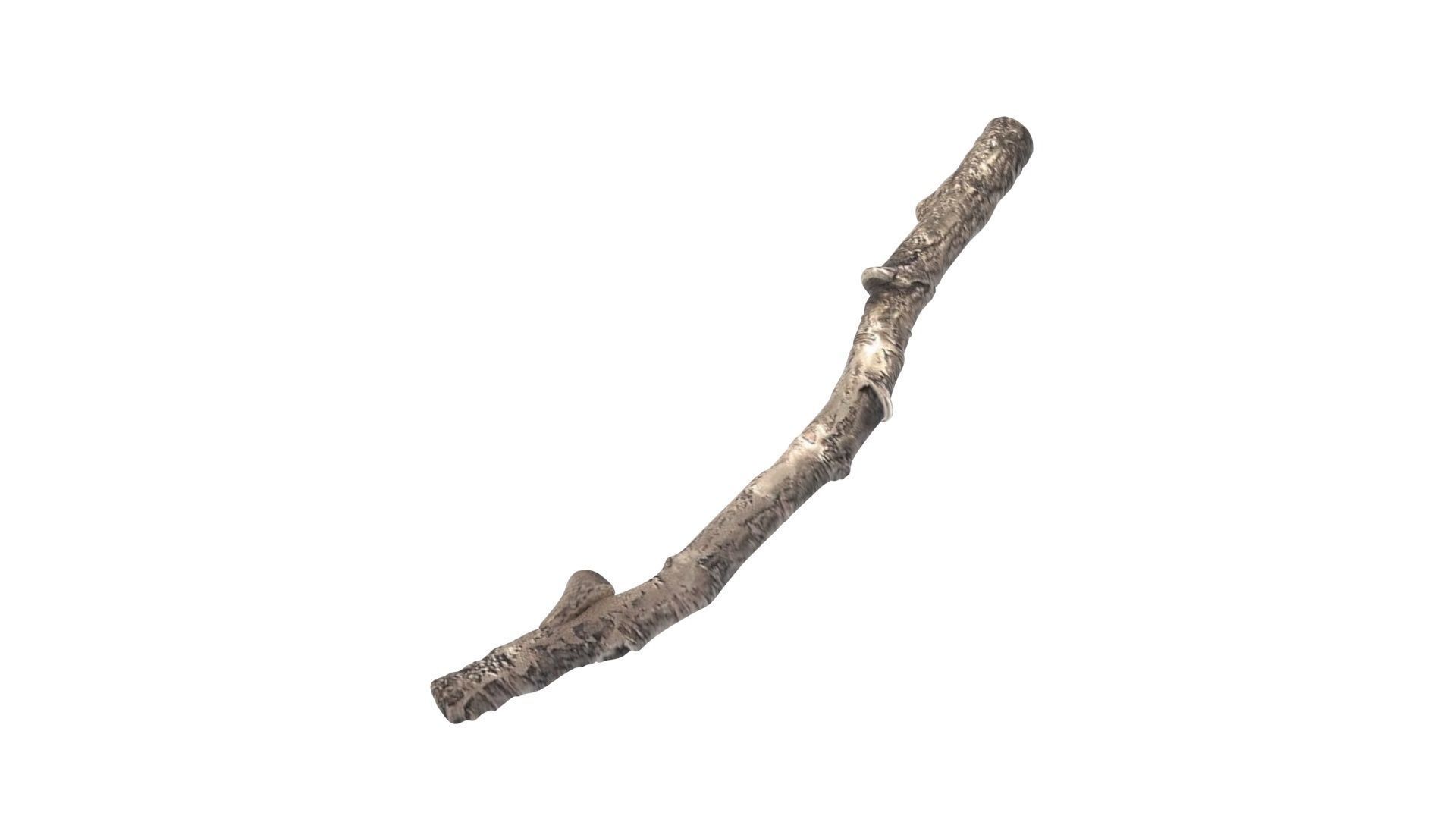 Tree Branch 3D model | CGTrader