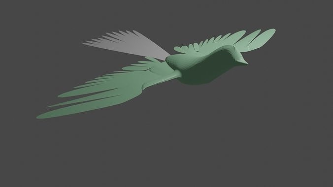 3D model 3d bird model VR / AR / low-poly | CGTrader