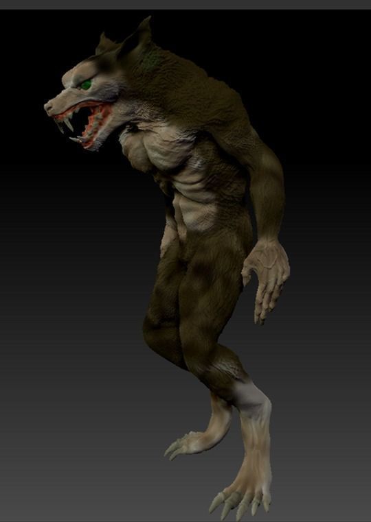 Werewolf 3D model animated rigged | CGTrader