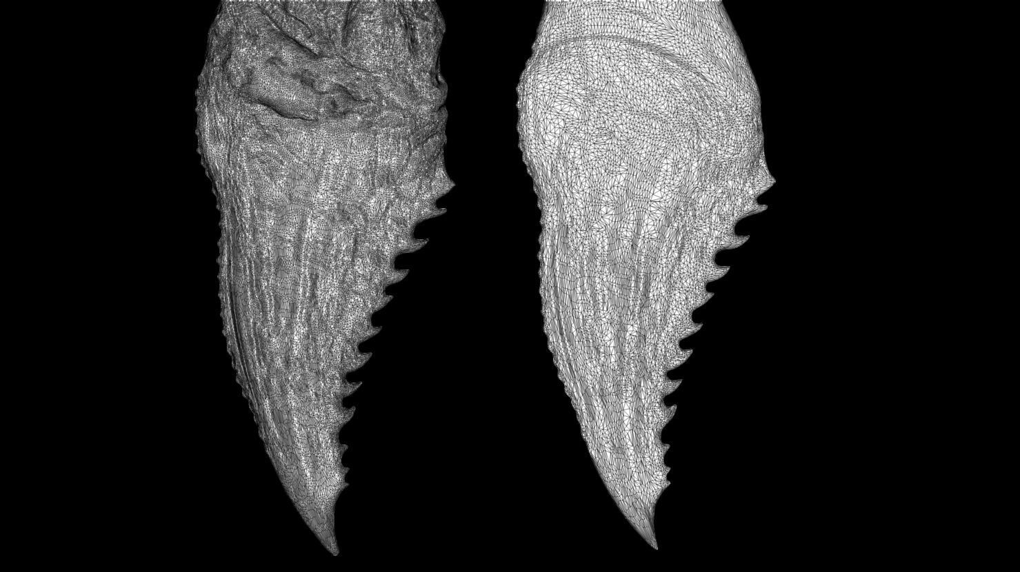 3D PRINTABLE DAY SHIFT MOVIE EXTRACTED VAMPIRE FANGS 3D model 3D ...