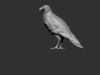 Raven Sculpture printable 3D model 3D printable | CGTrader