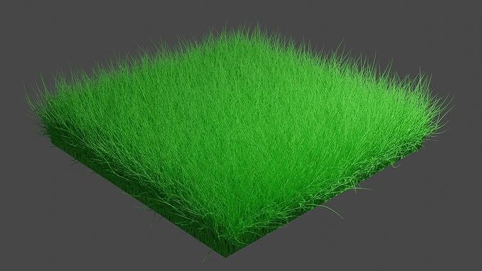 Grass 3D model free free 3D model | CGTrader