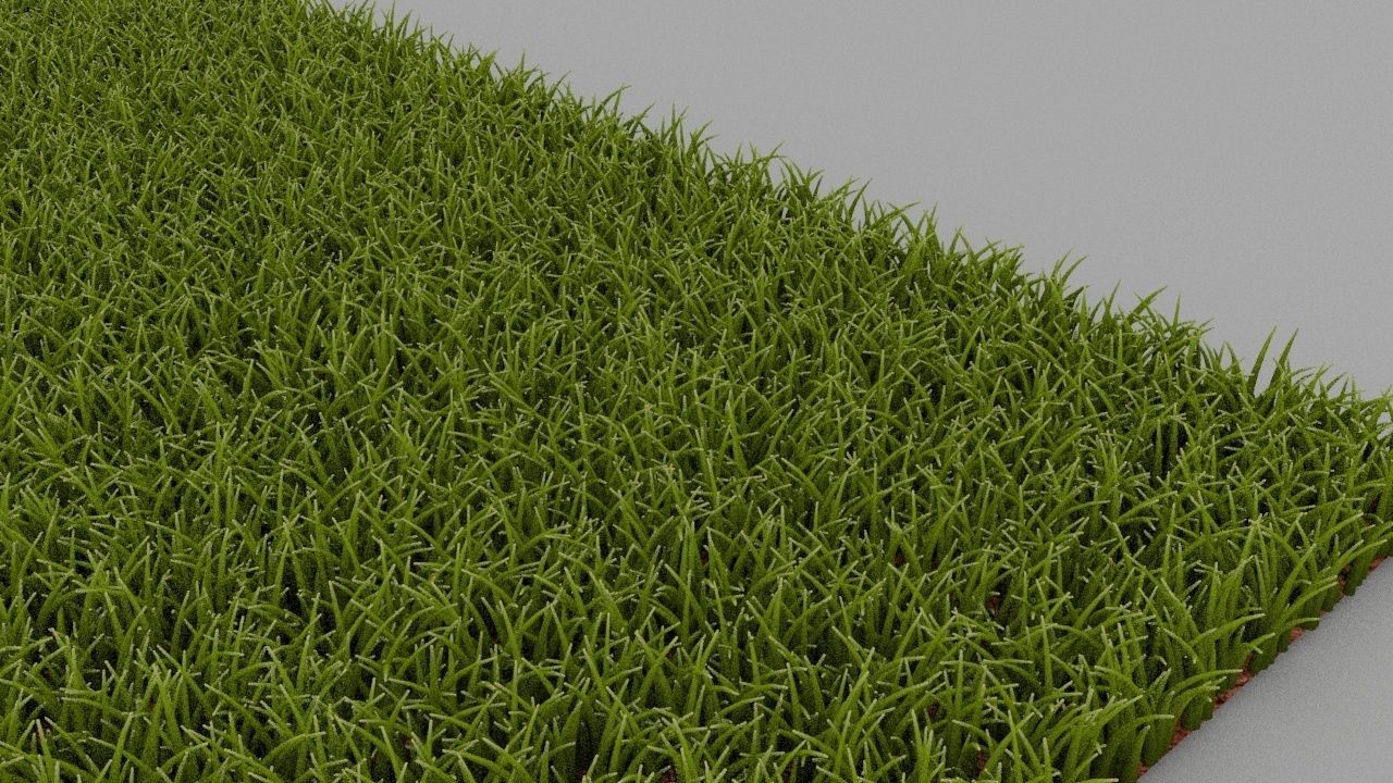 Grass 3D model | CGTrader